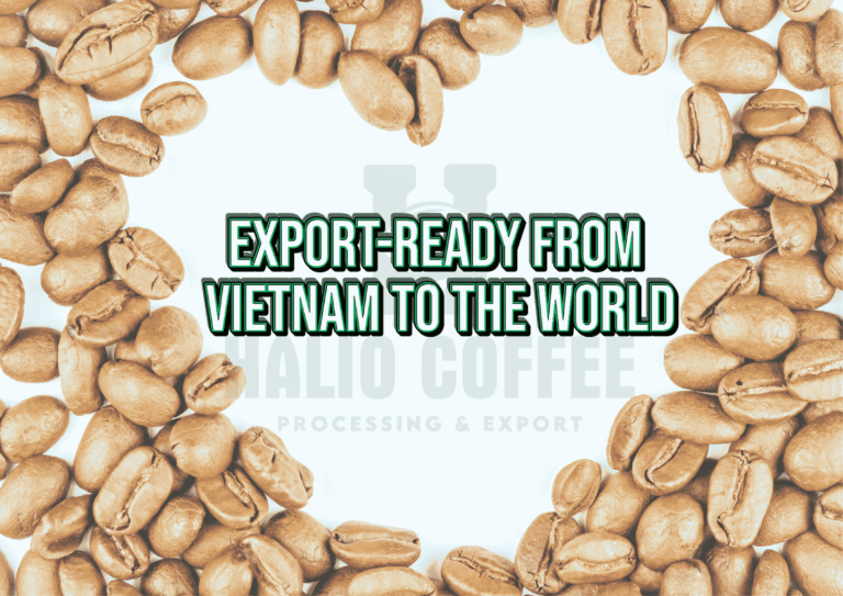 Robusta Natural Processed Coffee Beans: From Boldness to Nuance - Halio ...