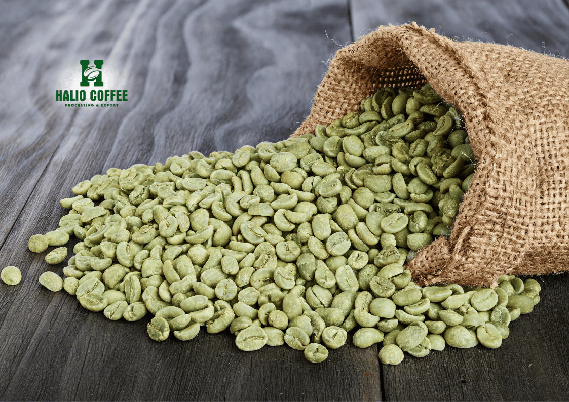 Navigating the World of Green Coffee Bean Distributors - Halio Coffee